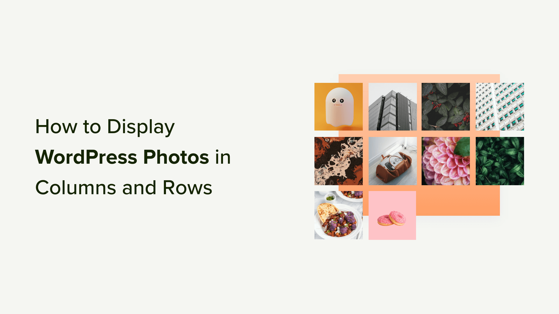How to Display WordPress Photos in Columns and Rows – FlatRockSoft
